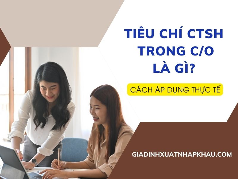 Tiêu Chí CTSH Trong C/O Là Gì? Cách Áp Dụng Thực Tế