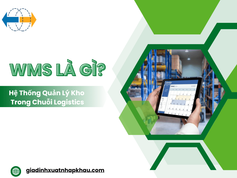 WMS Là Gì? Hệ Thống Quản Lý Kho Trong Chuỗi Logistics